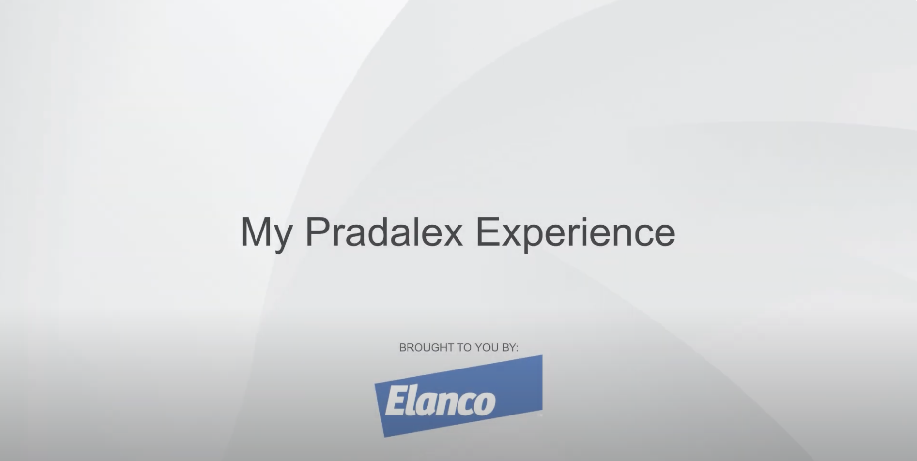 My Pradalex Experience - Fast Chats